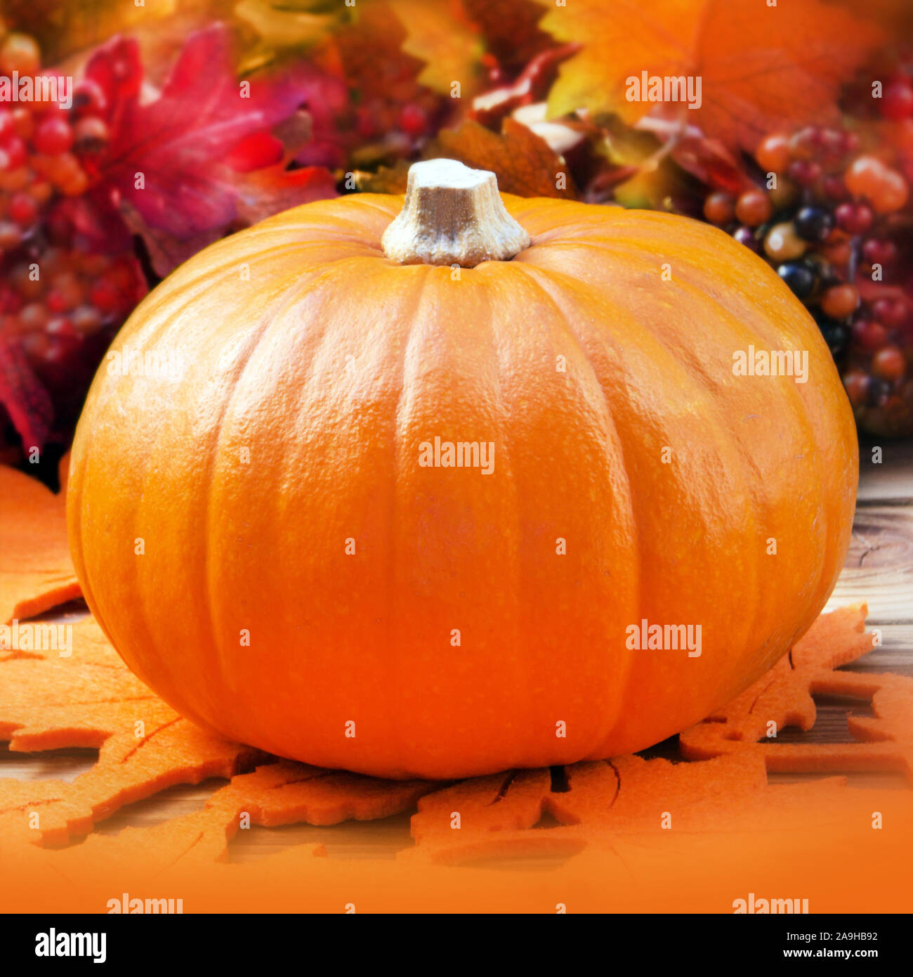 Pumpkin close up Stock Photo - Alamy