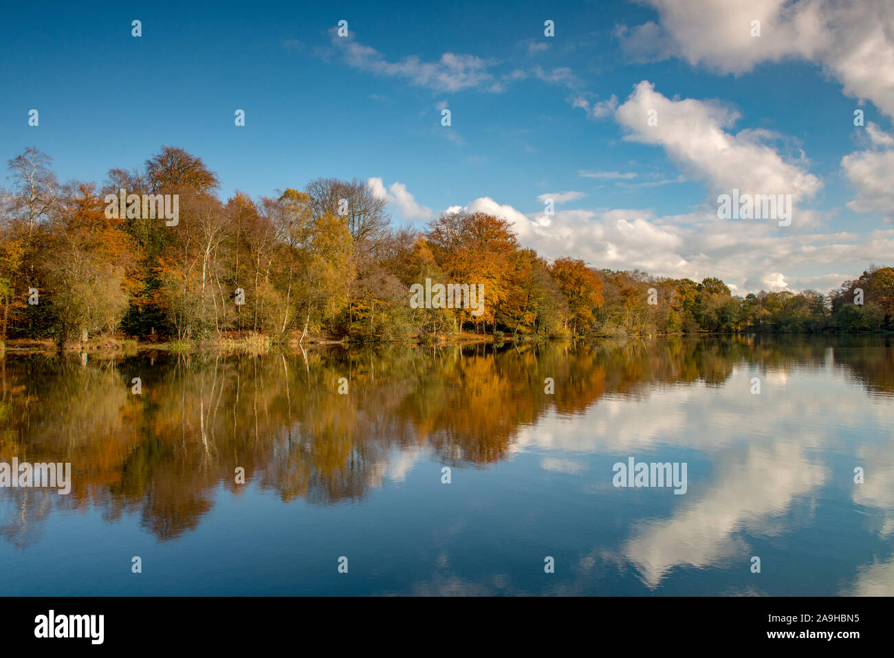 Slaugham Mill Pond during autumn, West Sussex, England, Uk Stock Photo ...