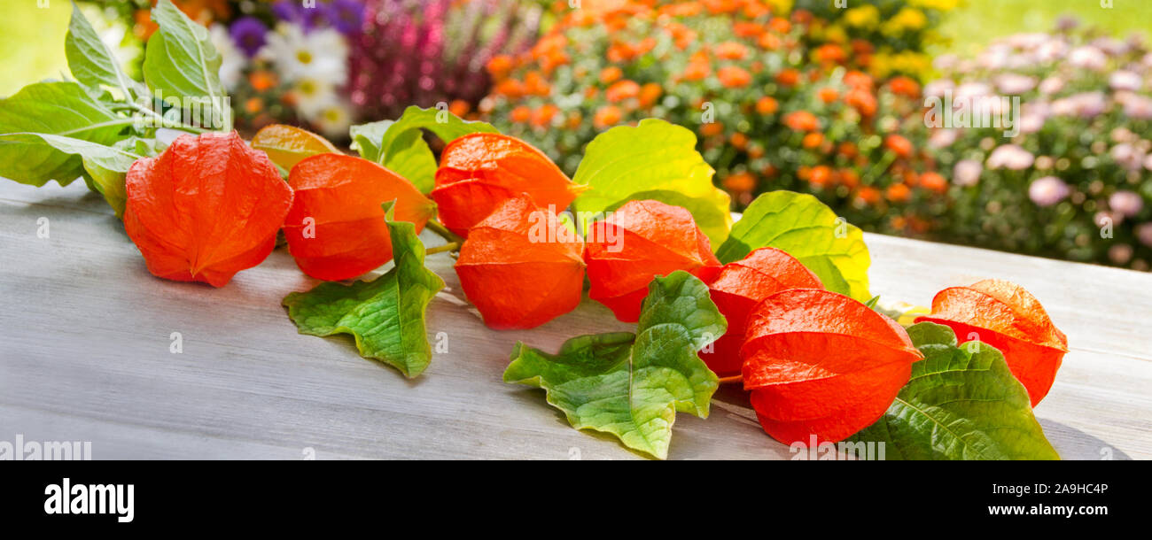 Late summer greeting hi-res stock photography and images - Alamy