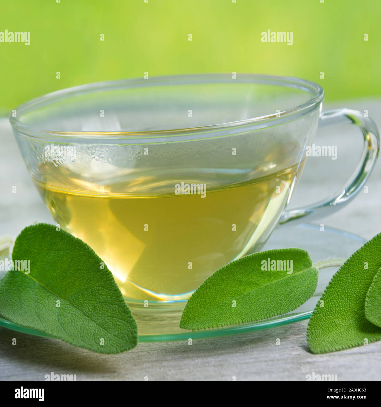 Sage greens hi-res stock photography and images - Alamy
