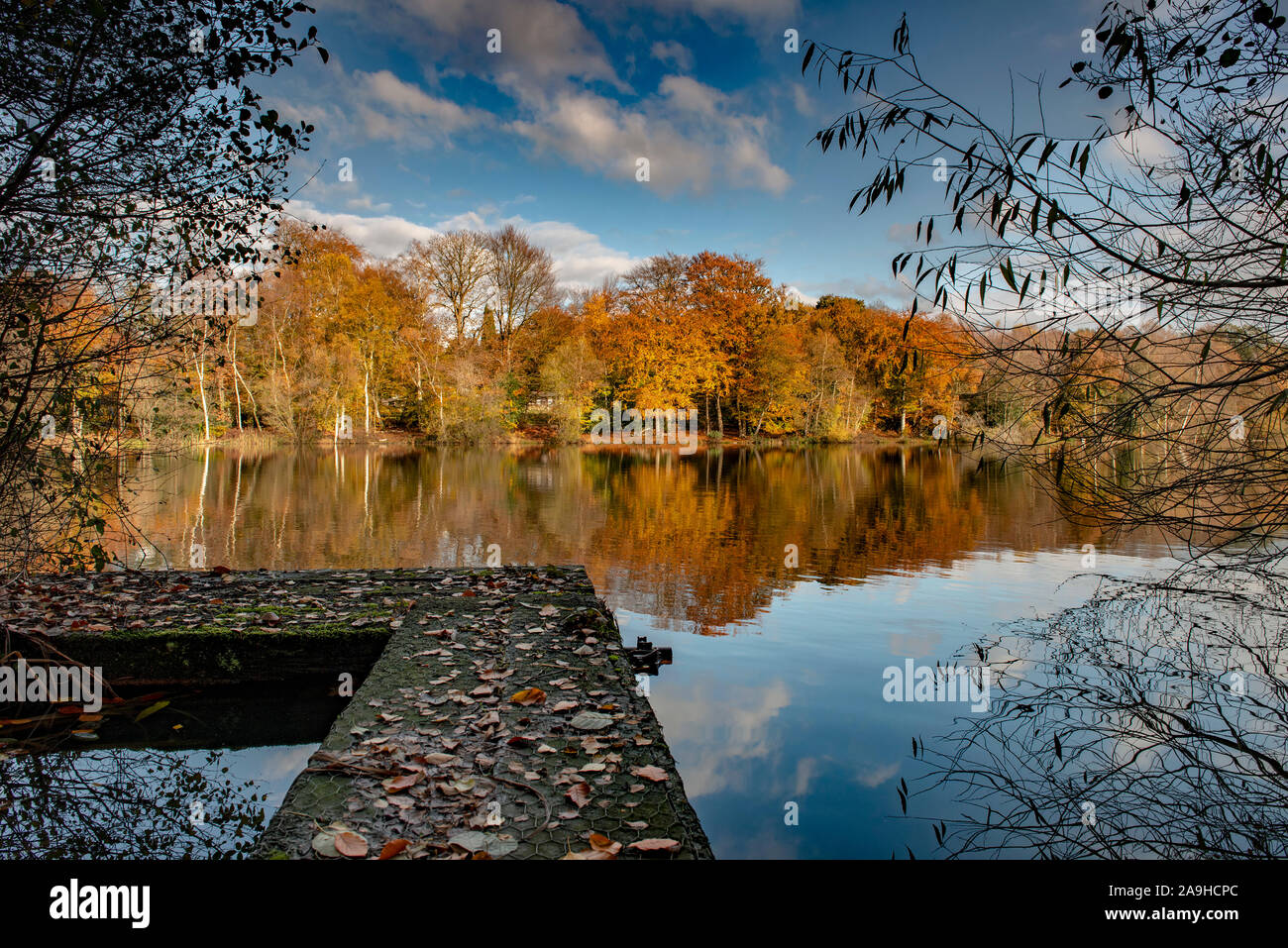 Slaugham Mill Pond during autumn, West Sussex, England, Uk Stock Photo ...