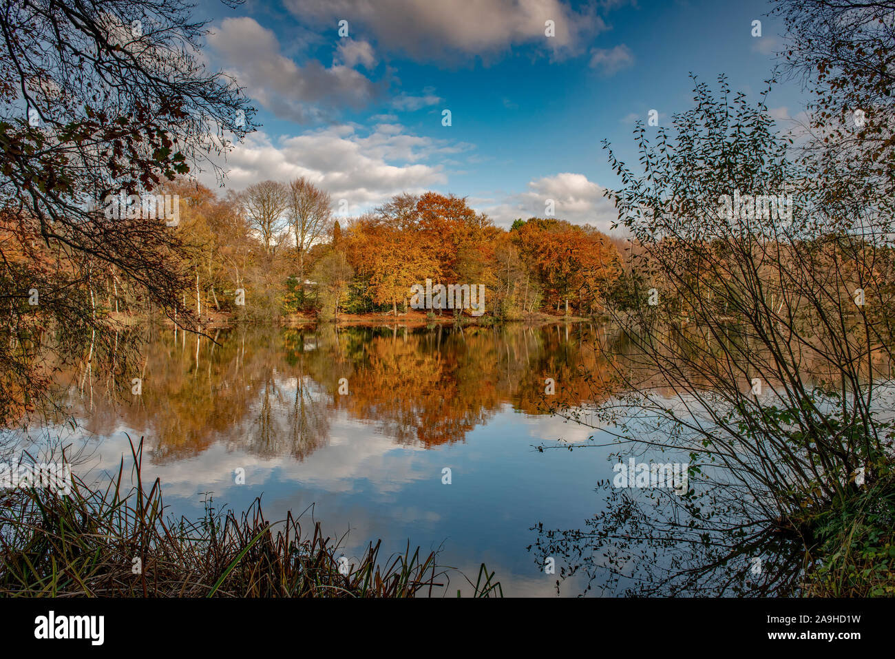 Slaugham Mill Pond during autumn, West Sussex, England, Uk Stock Photo ...
