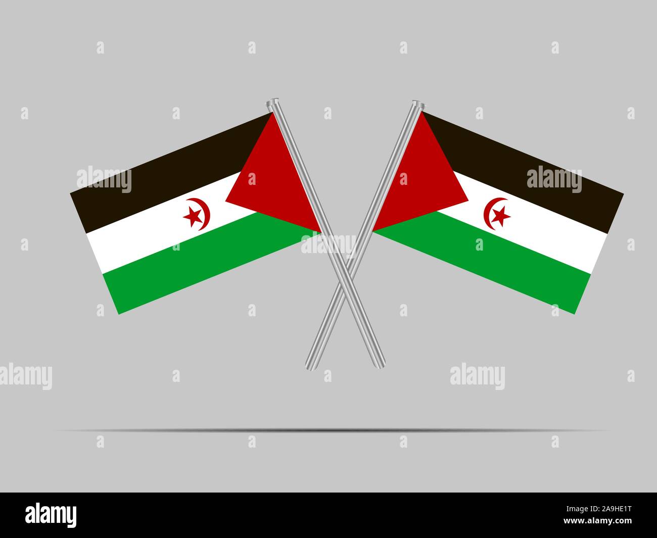 Beautiful national flag of Sahrawi Arab Democratic Republic. Simply ...