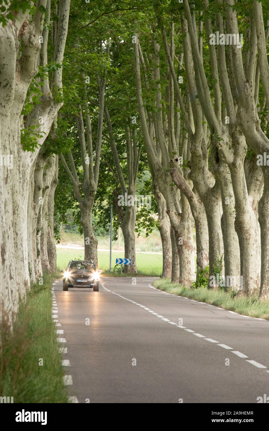Typical french tree lined road hi-res stock photography and images - Alamy