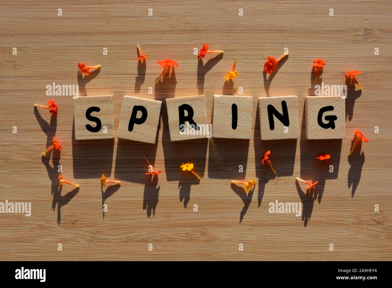 Spring, word in 3d wooden alphabet letters surrounded by orange lantana ...