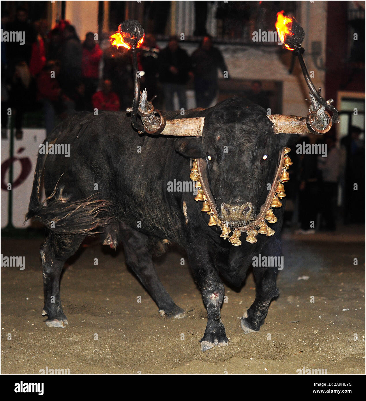 strong and angry bull in spain Stock Photo - Alamy