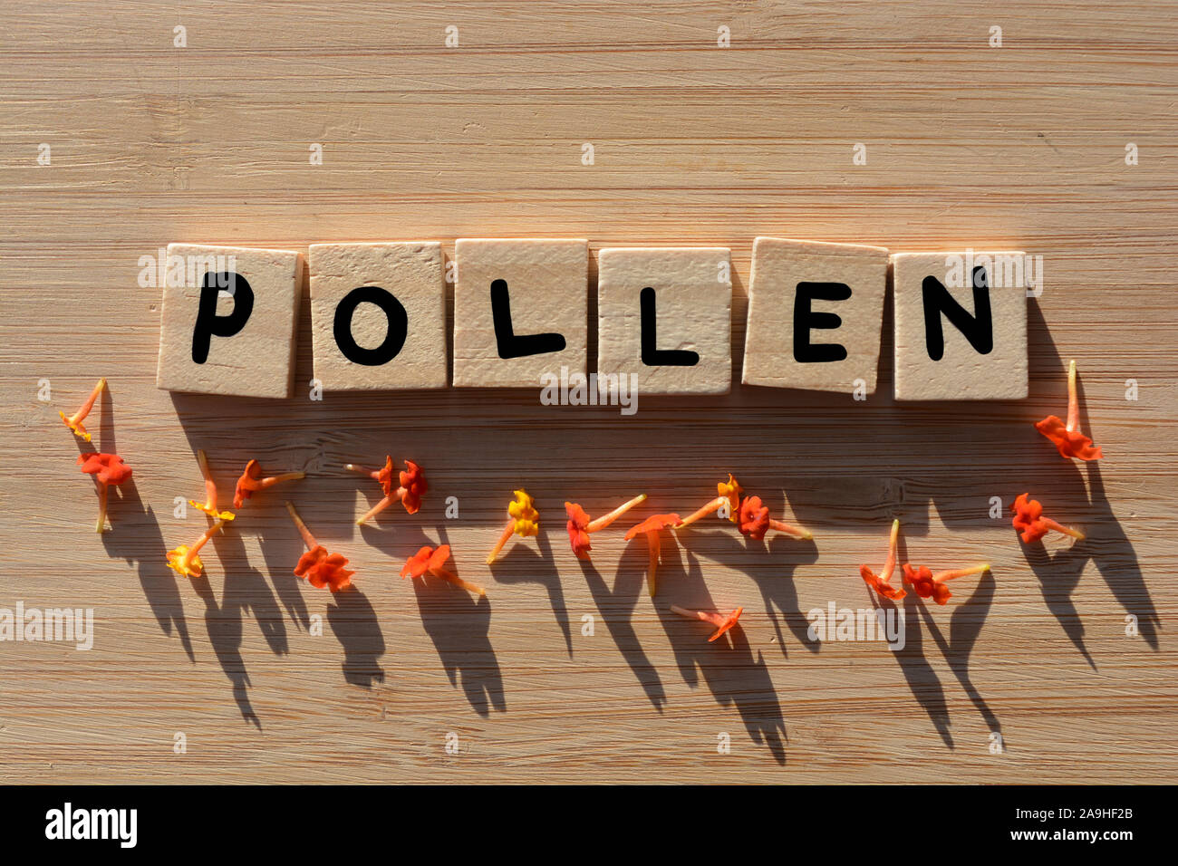 Pollen, word in 3d wooden alphabet flowers with fresh orange flowers on ...