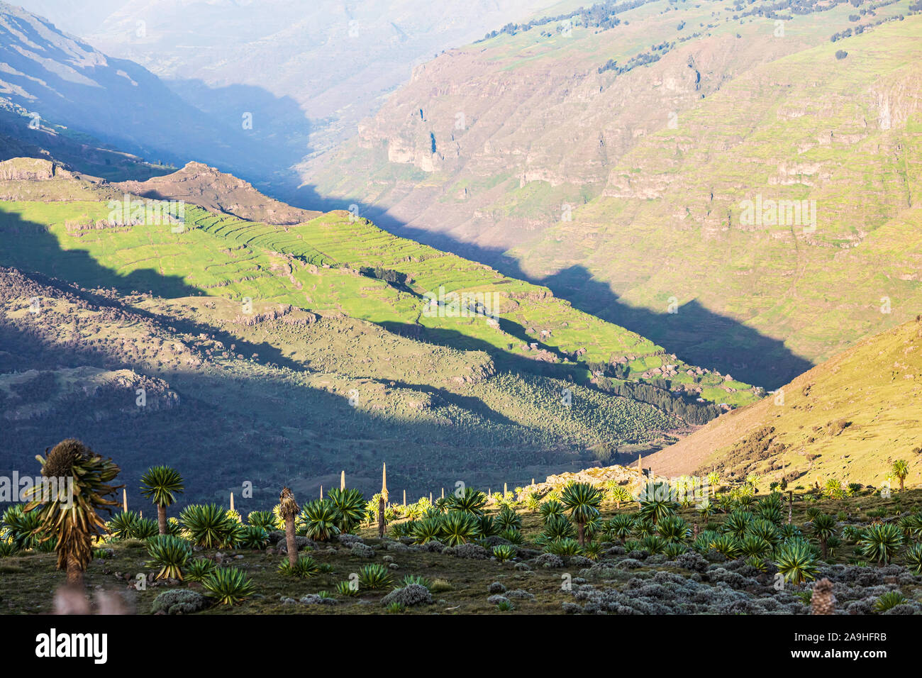 Ethiopia. Amhara. North Gondar. View down a valley in the Ethiopian ...