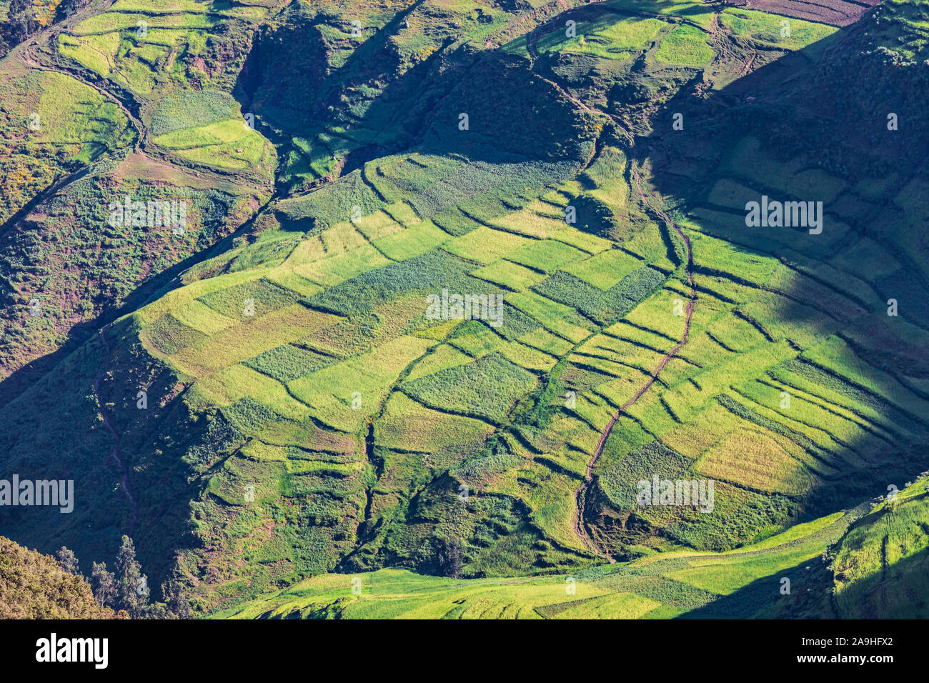 Ethiopia. Amhara. North Gondar. Farm fields in the Ethiopian highlands ...