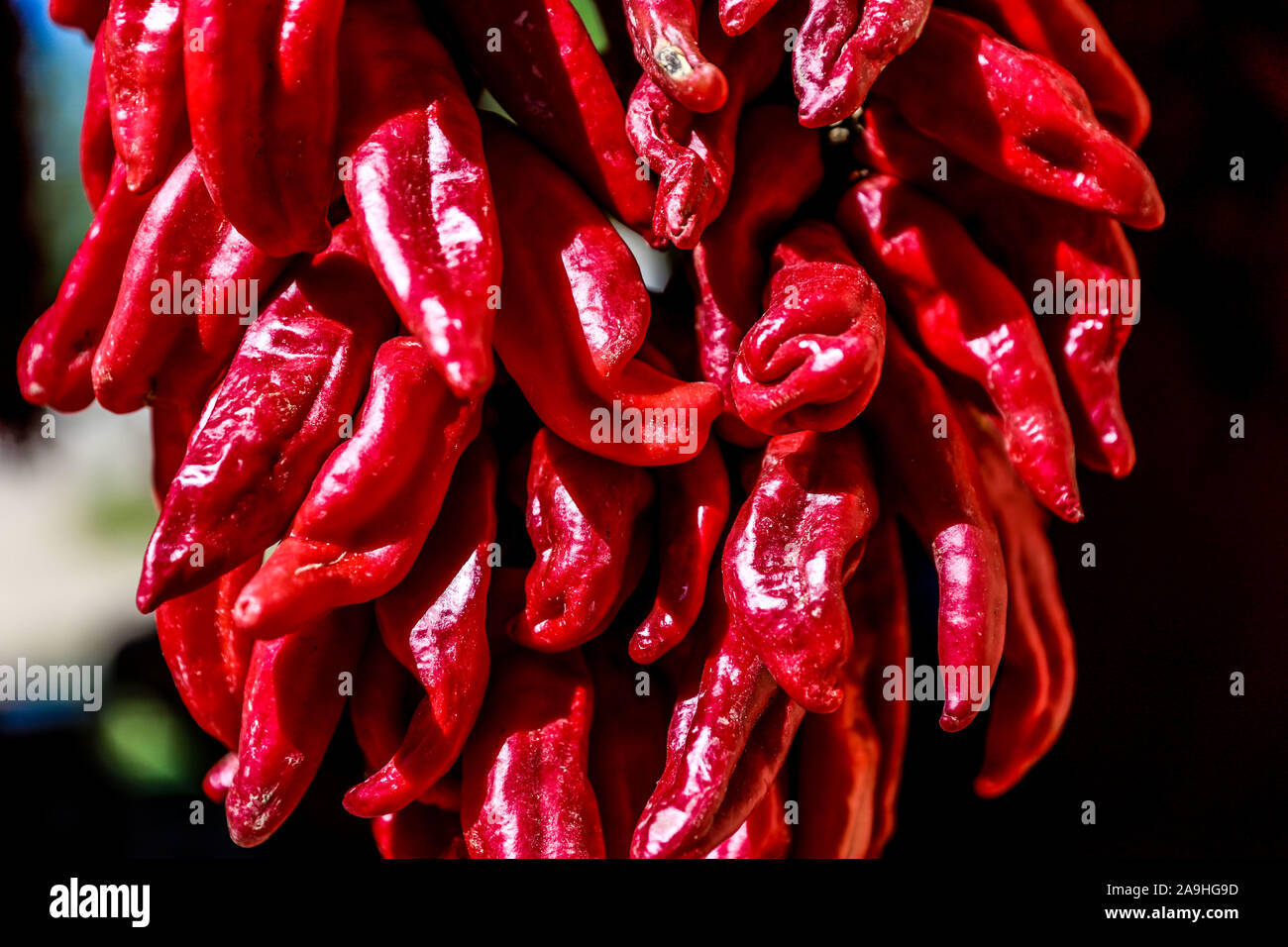 Ristras of red chile in the town Mazocahui, is part of the route of the ...