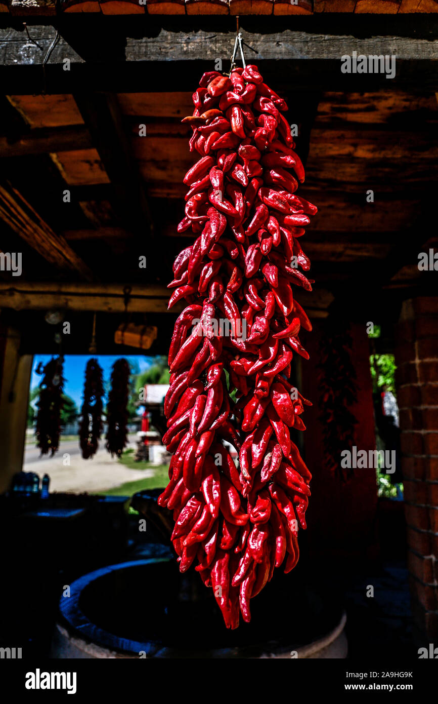Ristras of red chile in the town Mazocahui, is part of the route of the ...