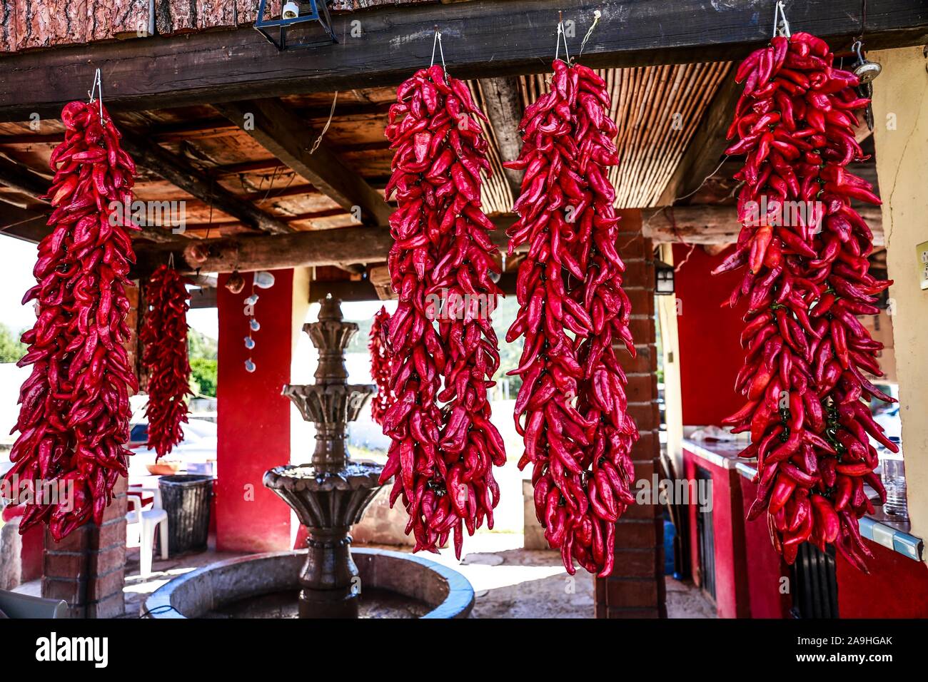 Ristras of red chile in the town Mazocahui, is part of the route of the ...