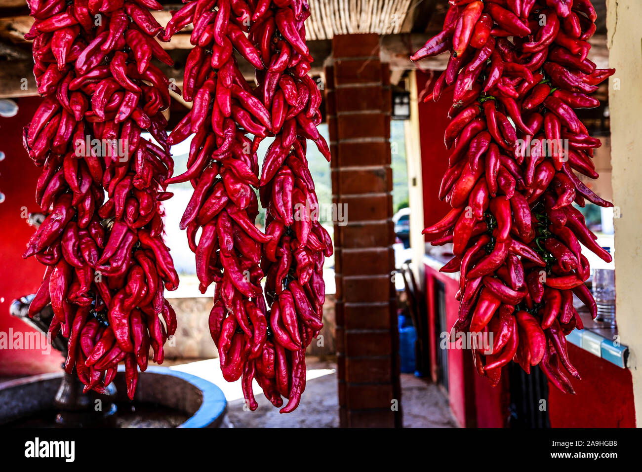 Ristras of red chile in the town Mazocahui, is part of the route of the ...