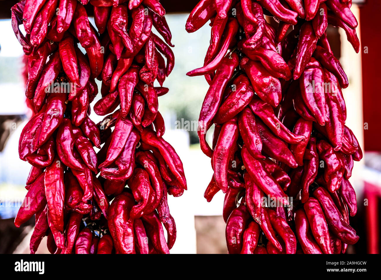 Ristras of red chile in the town Mazocahui, is part of the route of the ...
