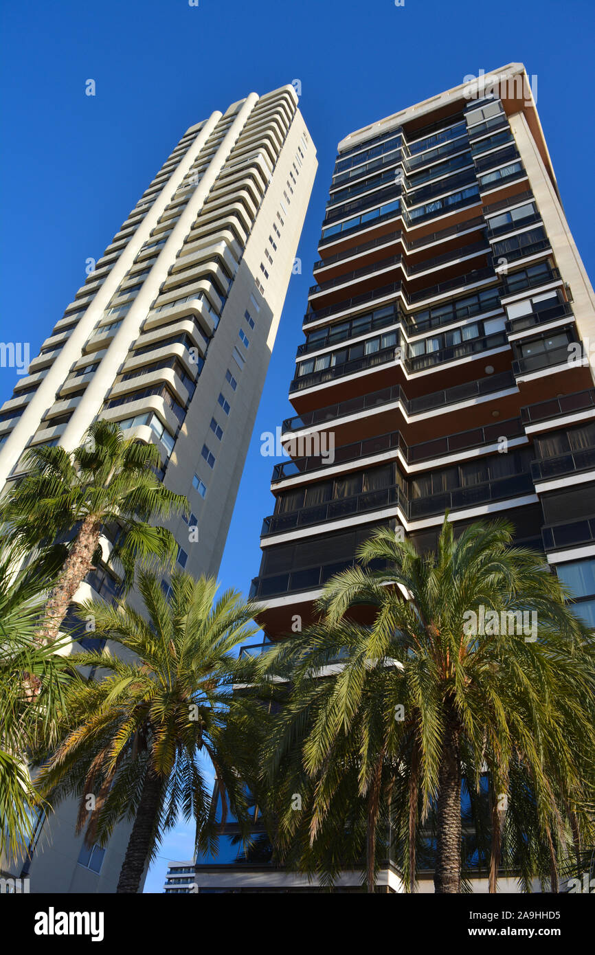 palm trees and high rise buildings on Playa Levante waterfront, low ...