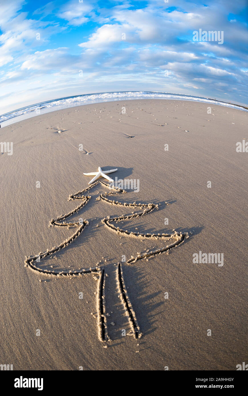 Starfish christmas ornament hi-res stock photography and images - Alamy