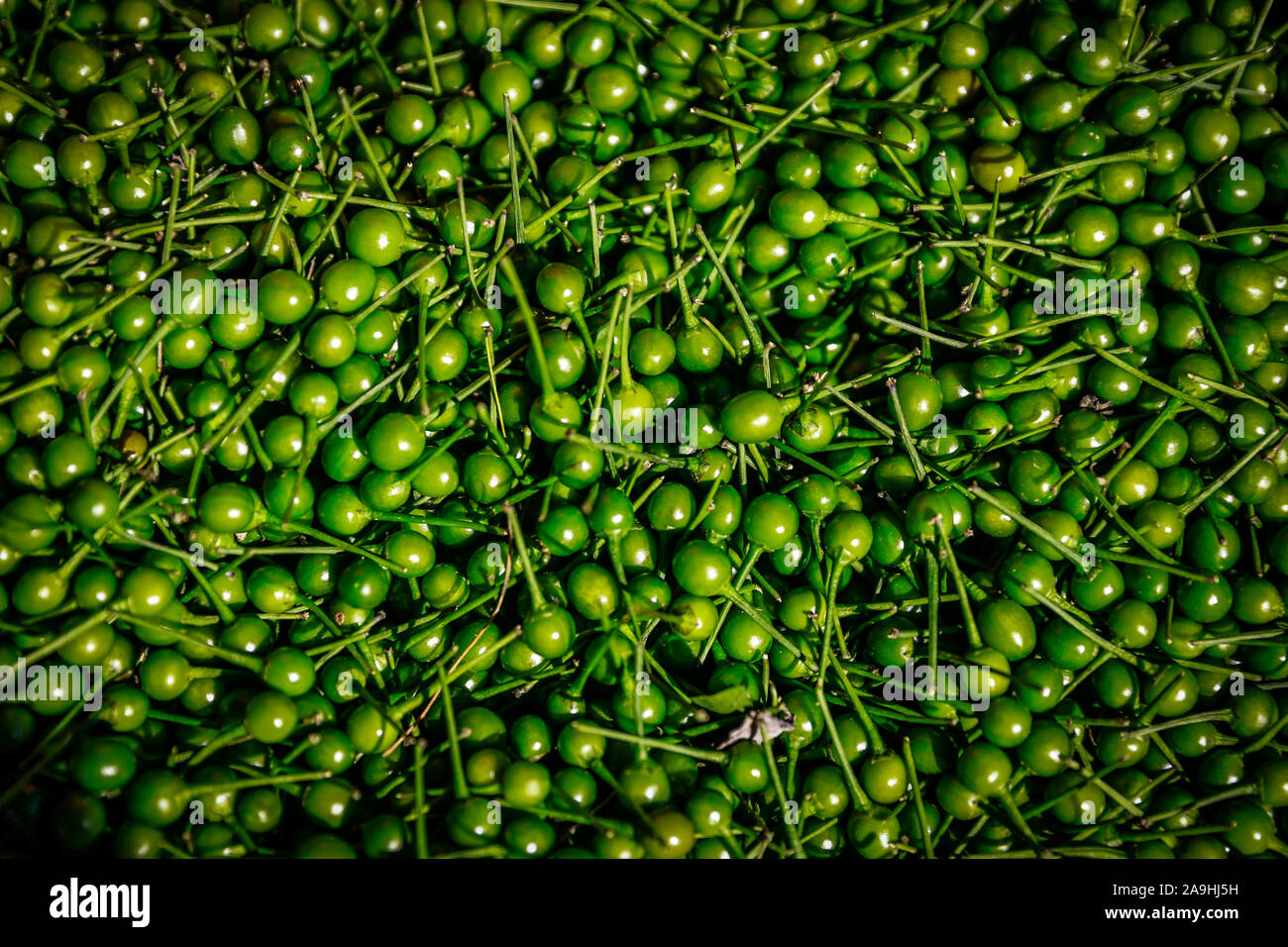 Chiltepin hi-res stock photography and images - Alamy