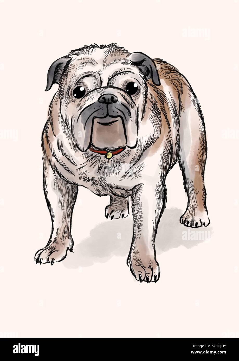 illustration of a dog Stock Photo - Alamy