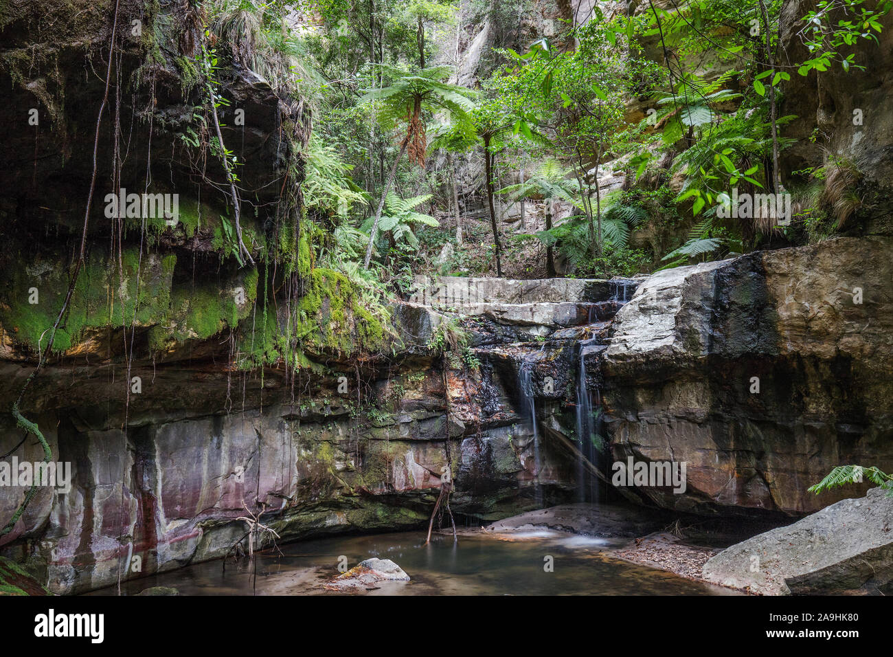 Moss Garden Gorge, Carnarvon National Park Queensland Australia Stock ...