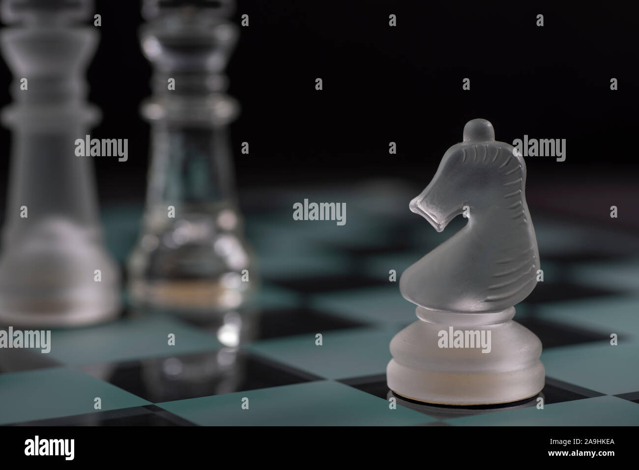 Pieces on a glass chess board - Knight Stock Photo - Alamy