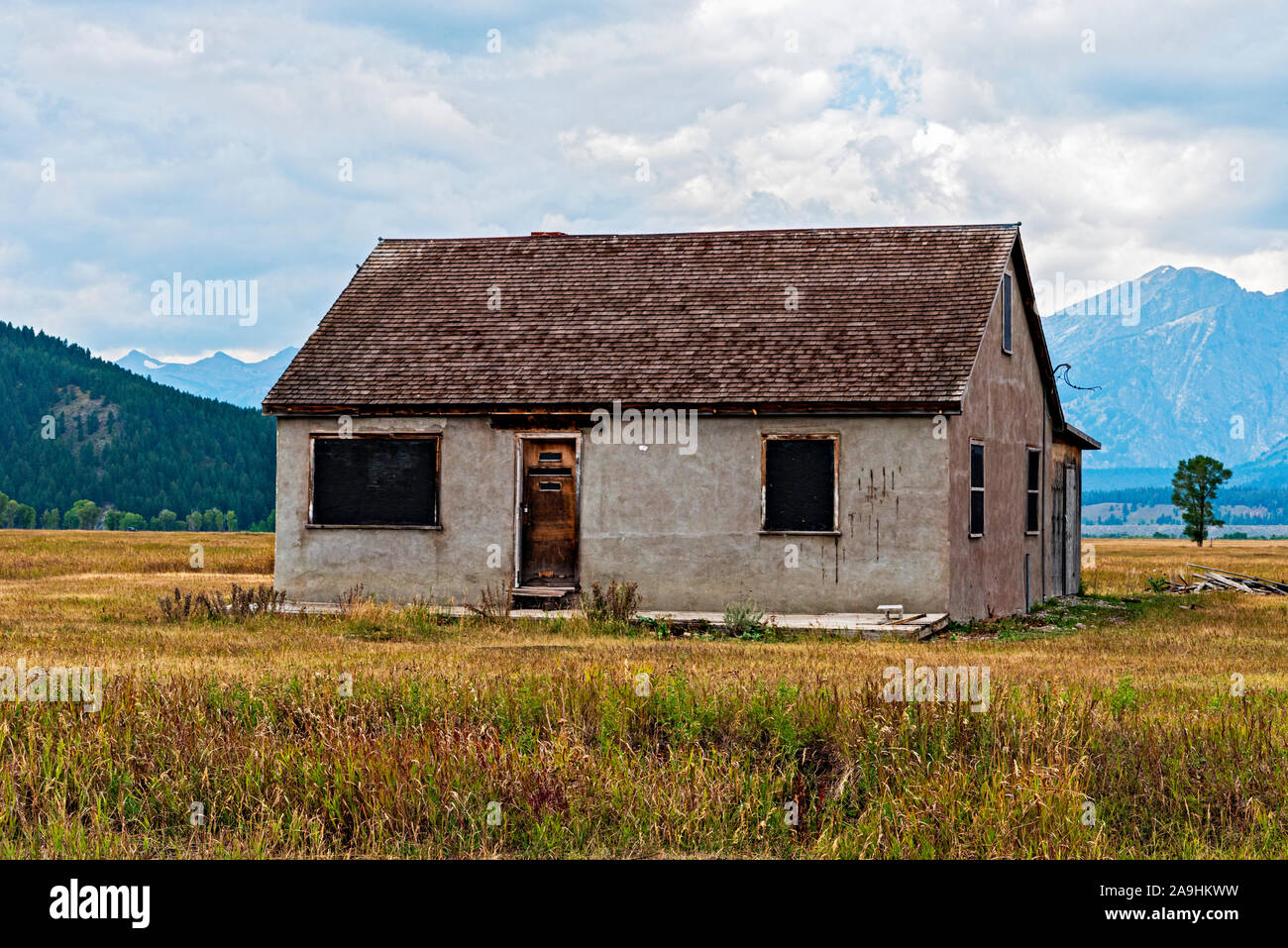 Old abandoned pioneer farmhouse in golden grass fields with mountains ...