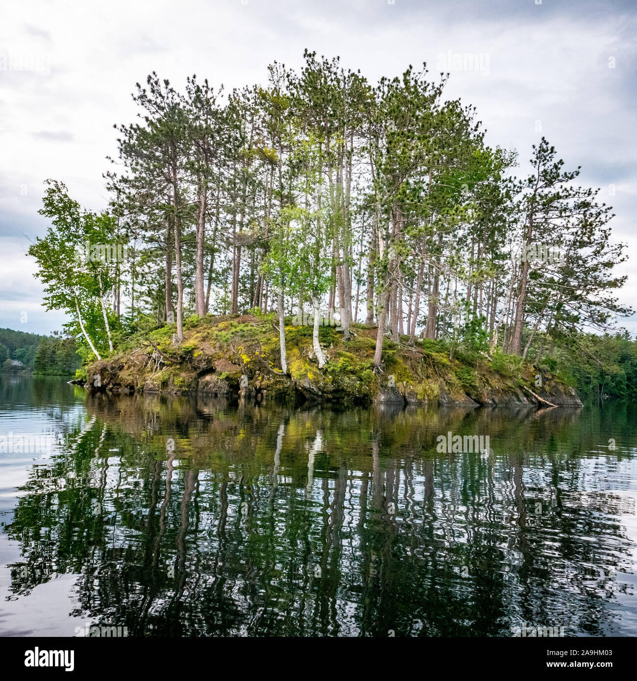 views of flying pond while kayaking, Mt Vernon, Maine Stock Photo - Alamy