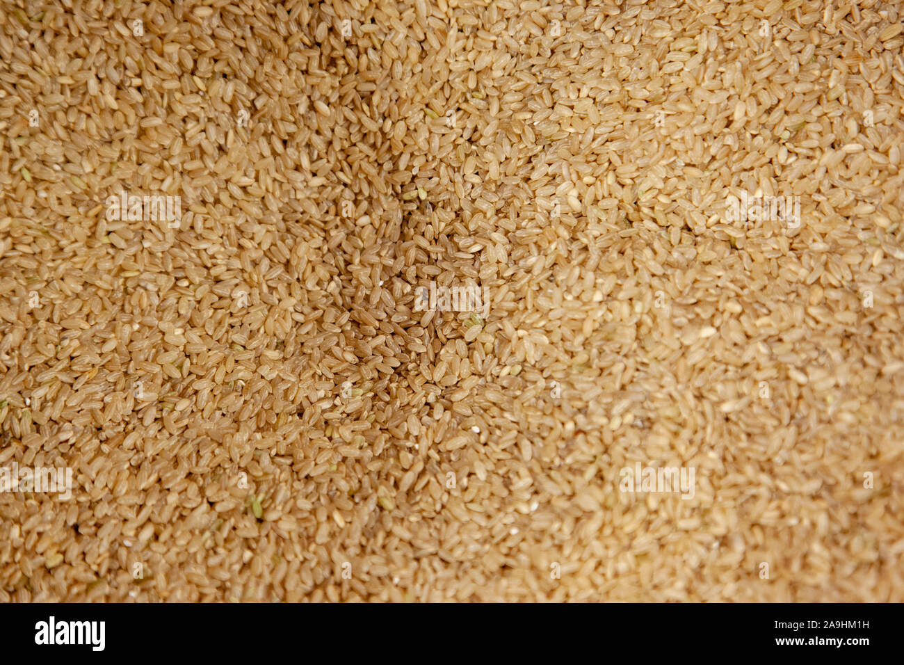Short grain hi-res stock photography and images - Alamy