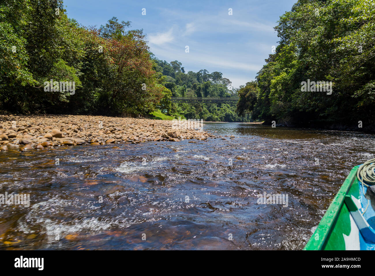 Temburong River, Virgin Rainforest, Ulu Temburong National Park, Brunei ...