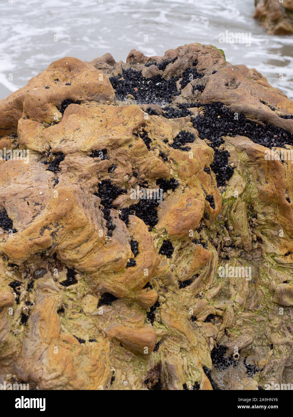 Large Rock At The Beach Stock Photo - Alamy
