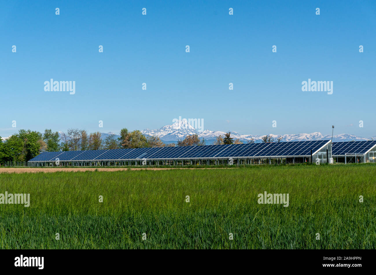 Solar panels in farm field, Beinette, Italy, with Italian Alps in ...