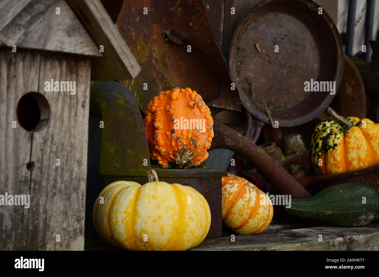 Fall farming decorations Stock Photo - Alamy