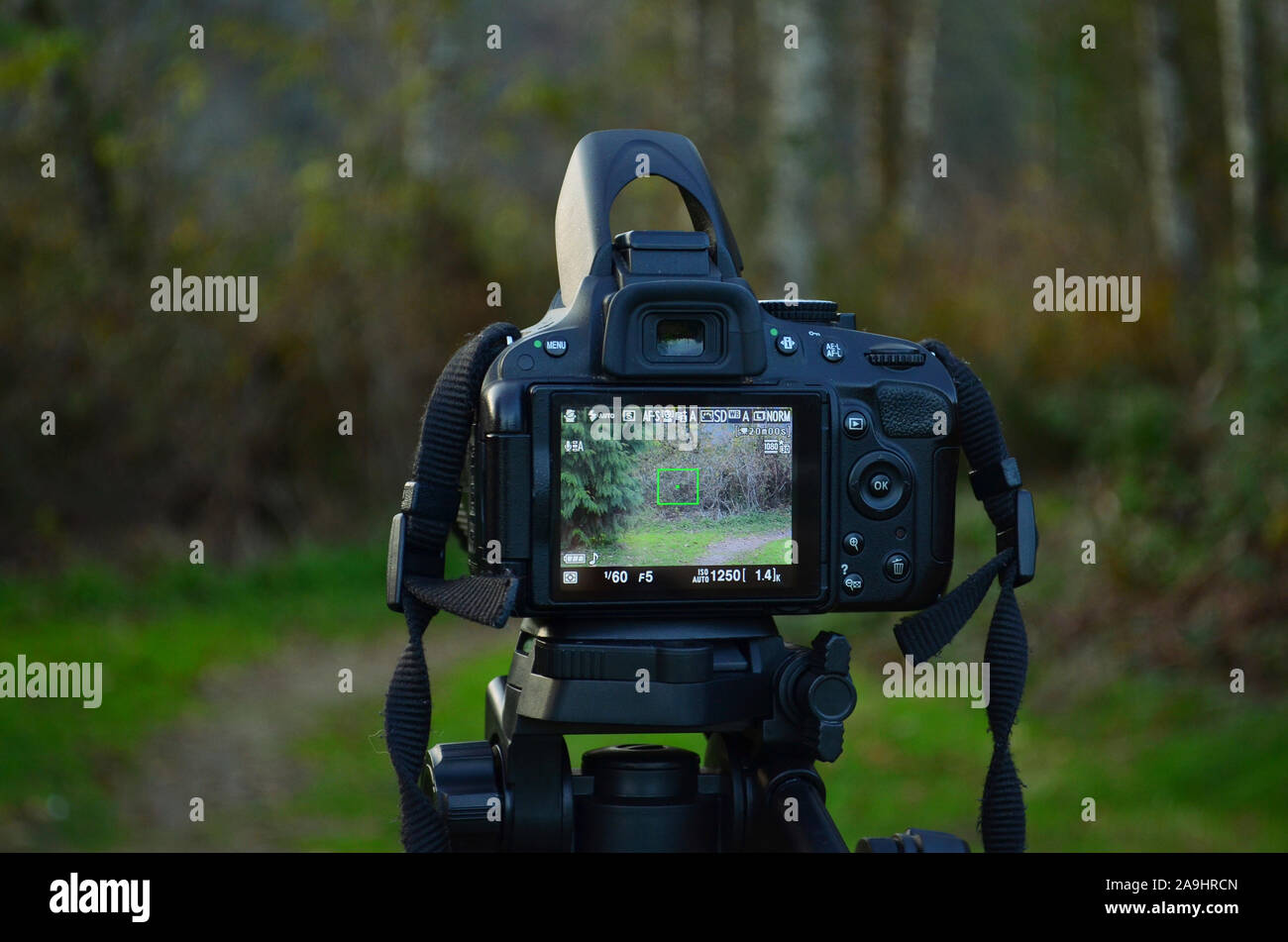 Taking timelapse hi-res stock photography and images - Alamy