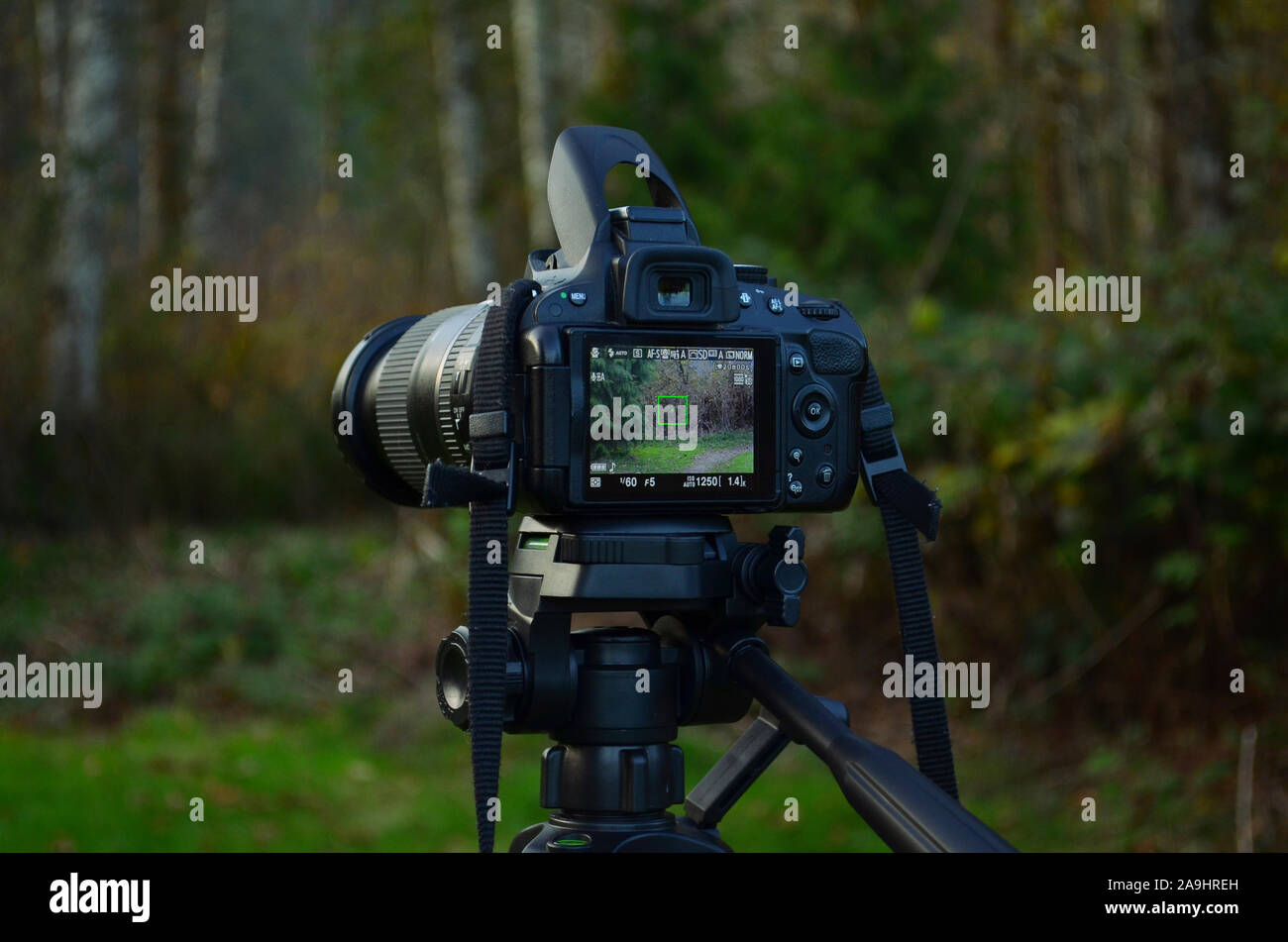 Taking timelapse hi-res stock photography and images - Alamy