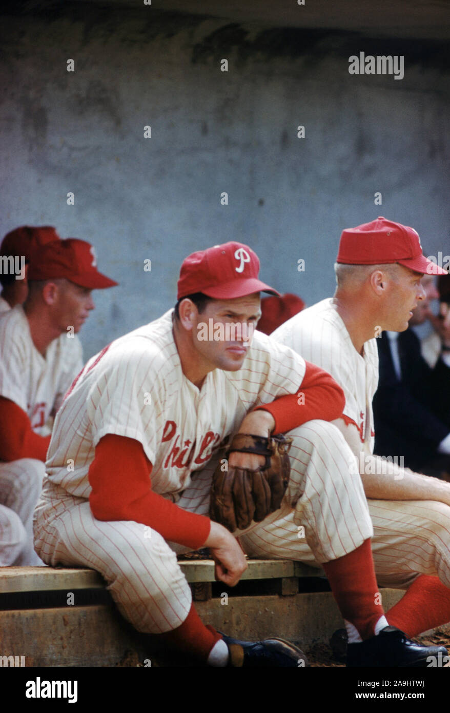 Philadelphia phillies spring training hi-res stock photography and ...