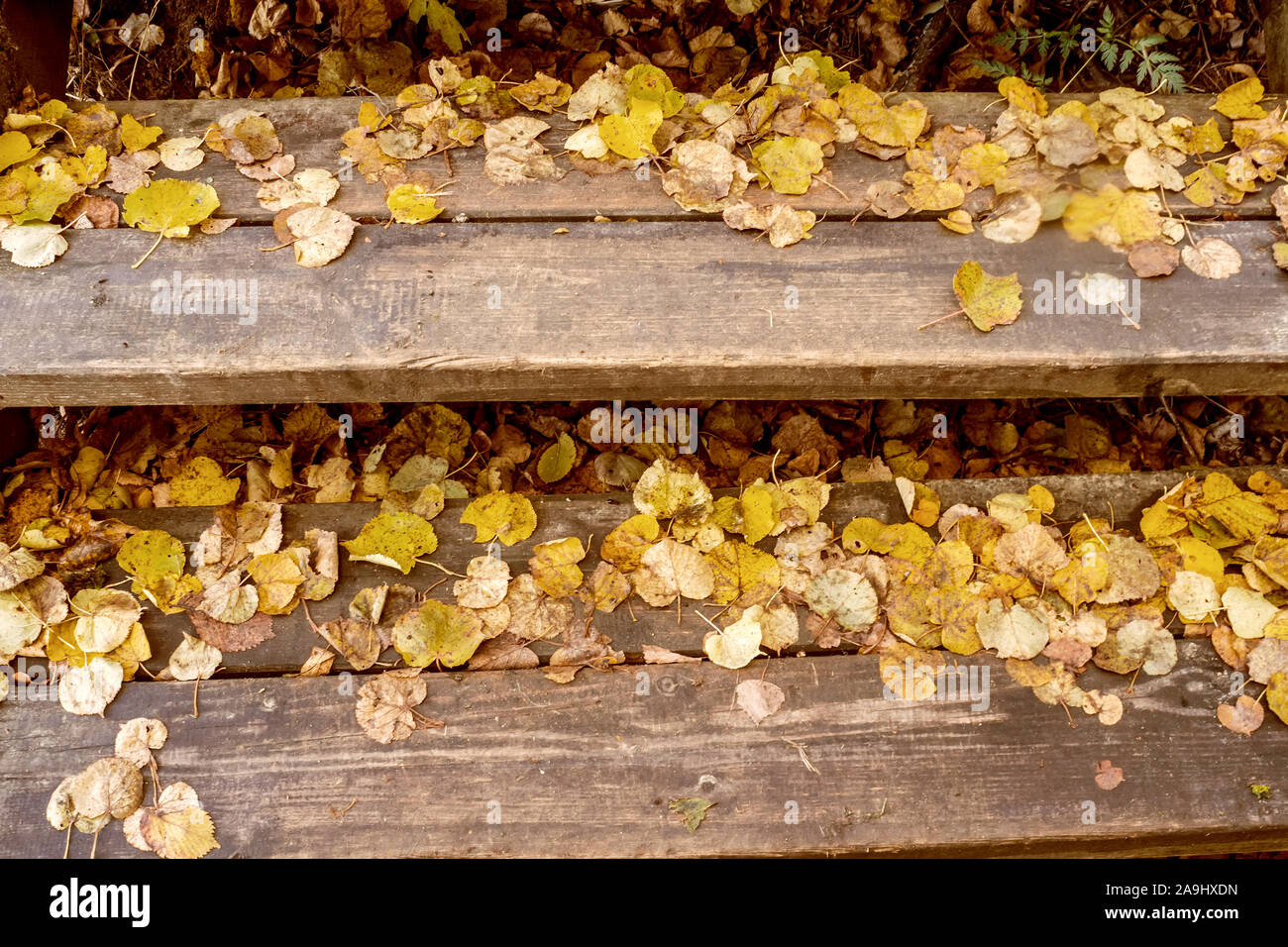 Background of autumn leaves on wooden steps close-up Stock Photo - Alamy