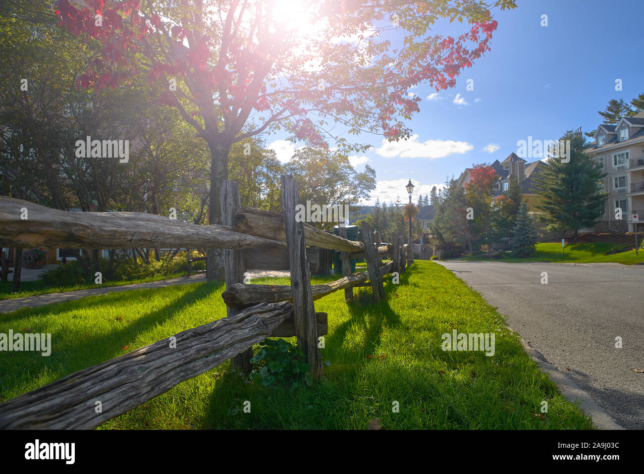 Old fence, grass and some larch tree in autumn , Québec Canada Stock ...