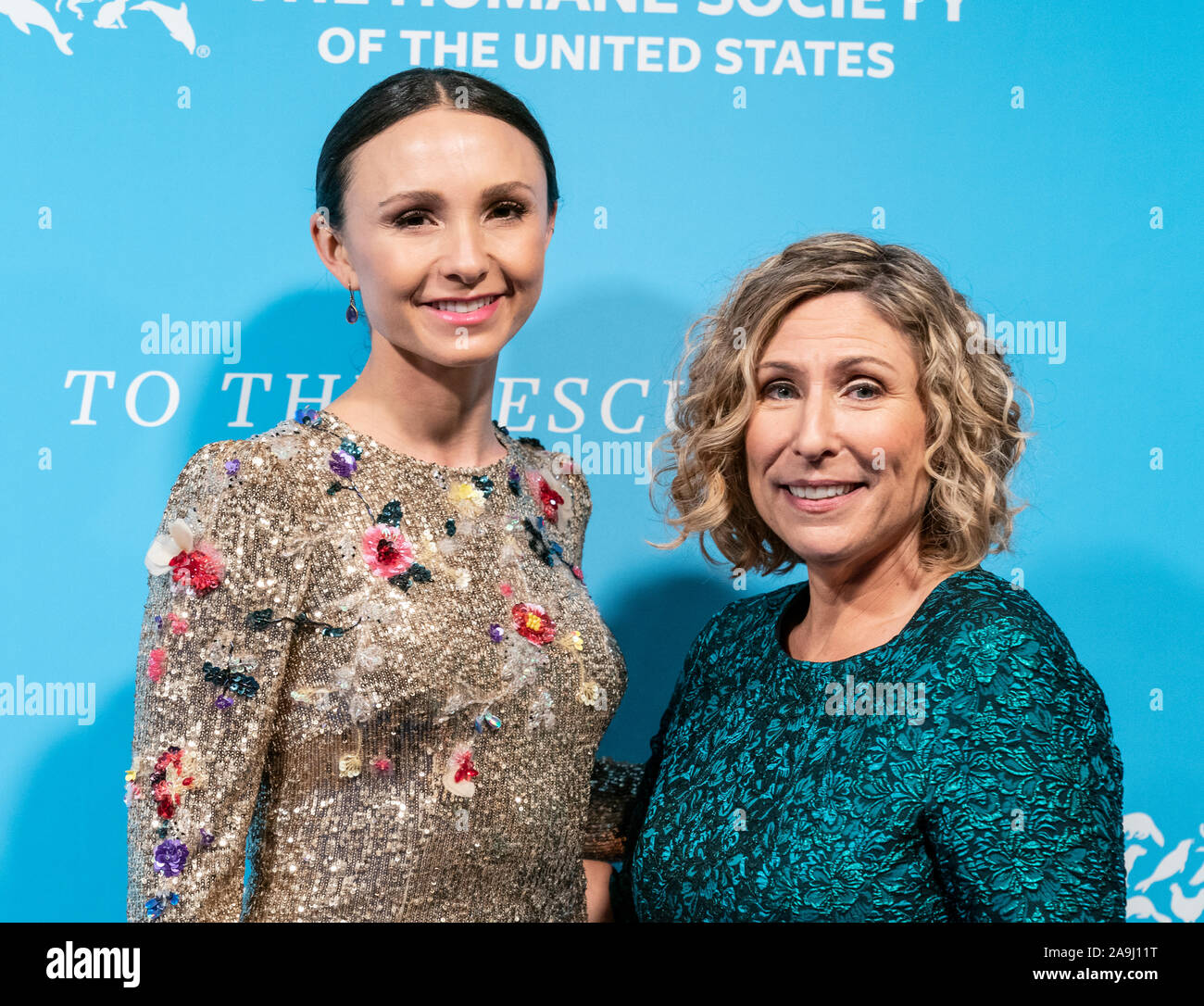 Kitty block hi-res stock photography and images - Alamy