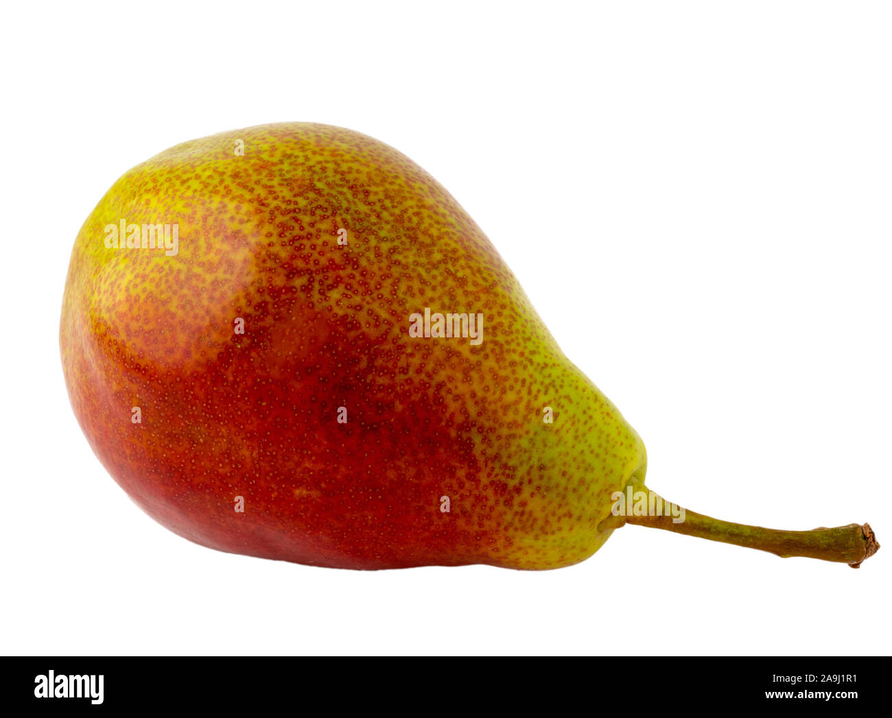 red-green pear cultivar forelle, isolated image on a white background ...