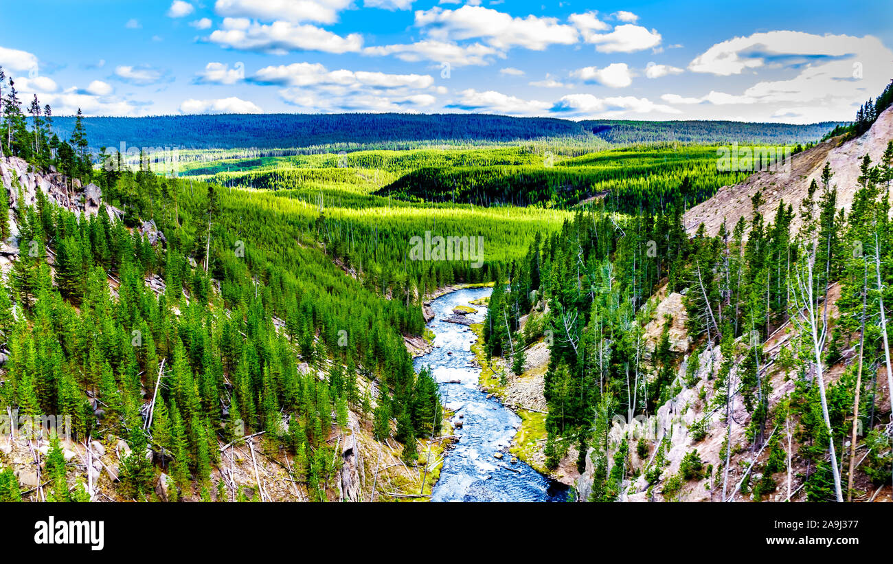 The Gibbon River downstream of Gibbon Falls in Yellowstone National ...