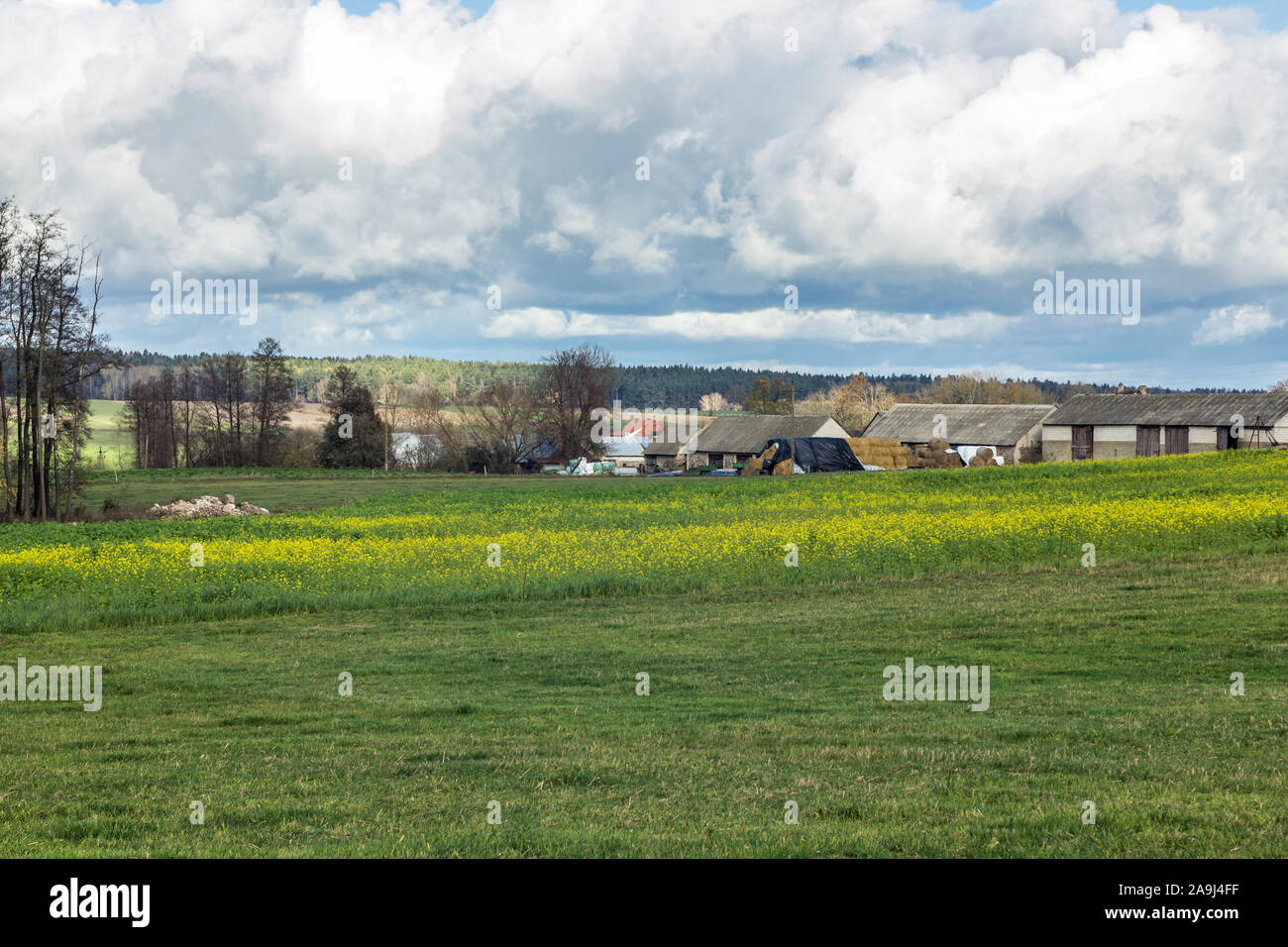 A village among fields and forests.Houses, barns and white pyramids of ...