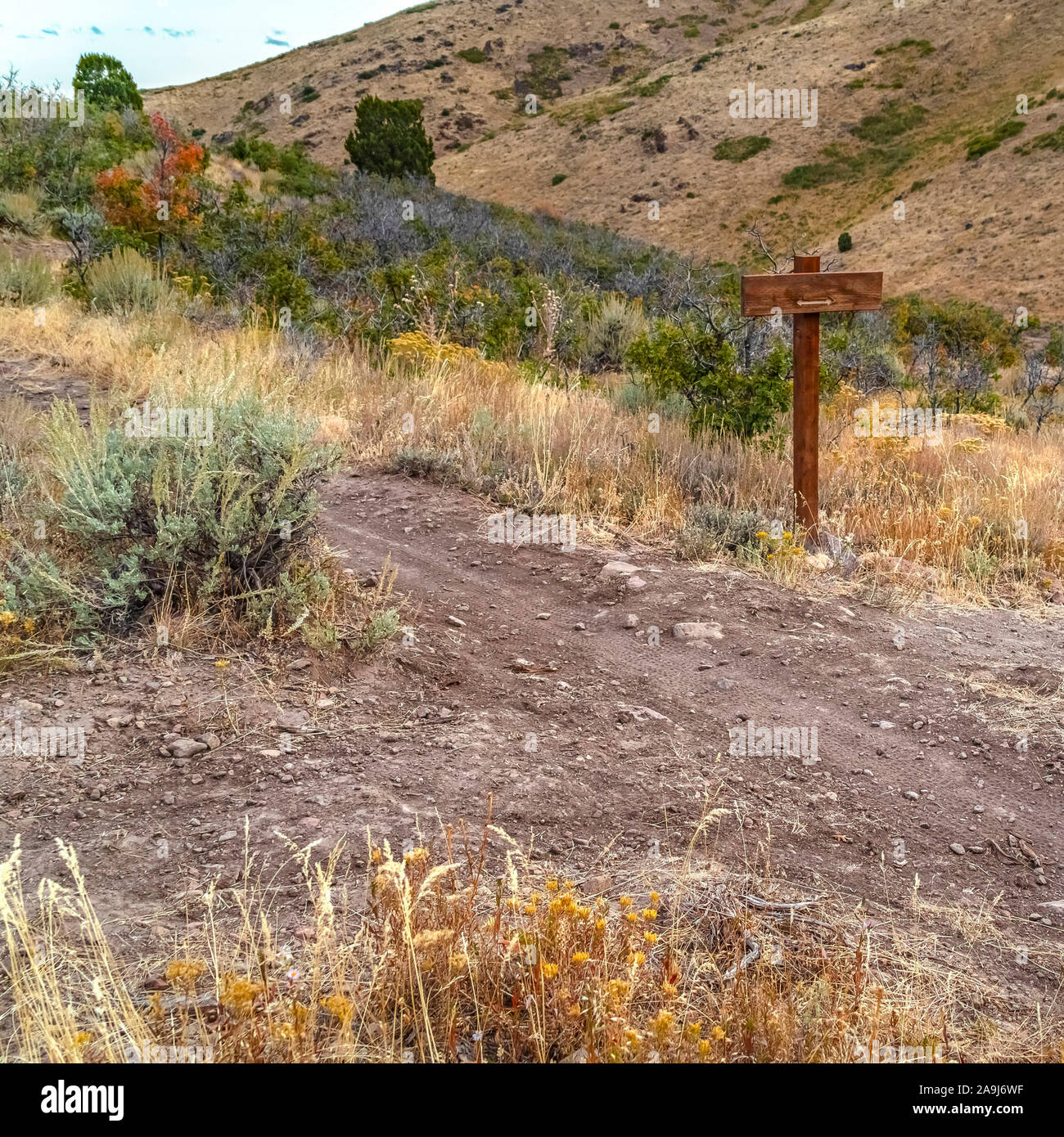 Square Signboard on a hiking trail in Utah wilderness Stock Photo - Alamy