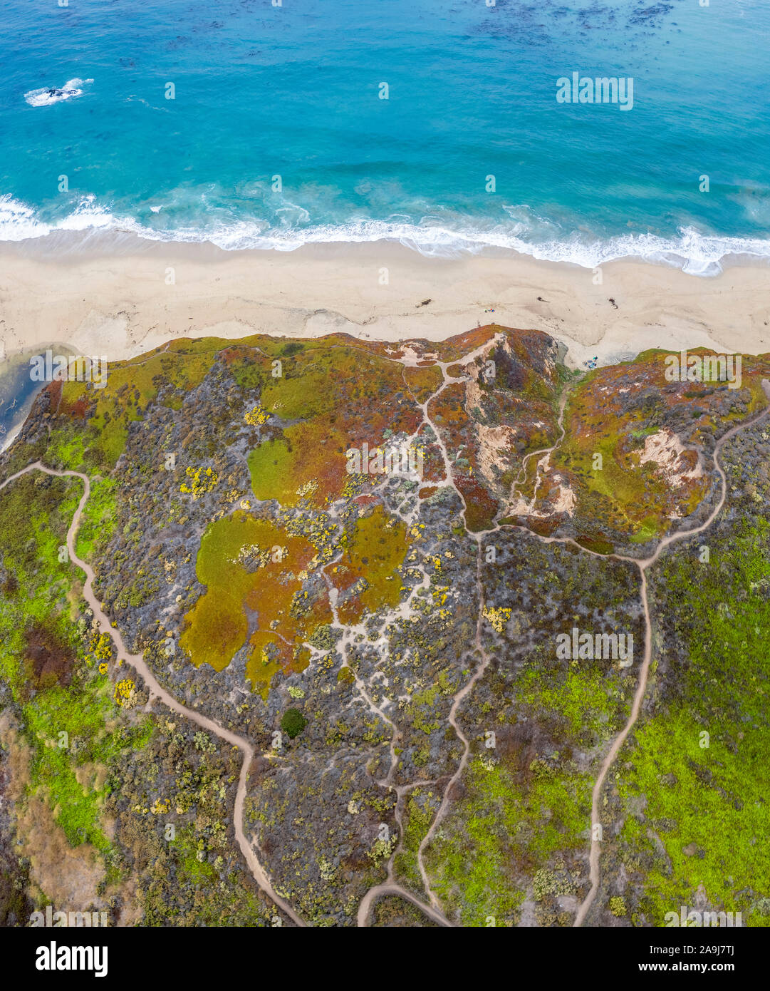 aerial view of northern California coastline near Monterey, beach and ...