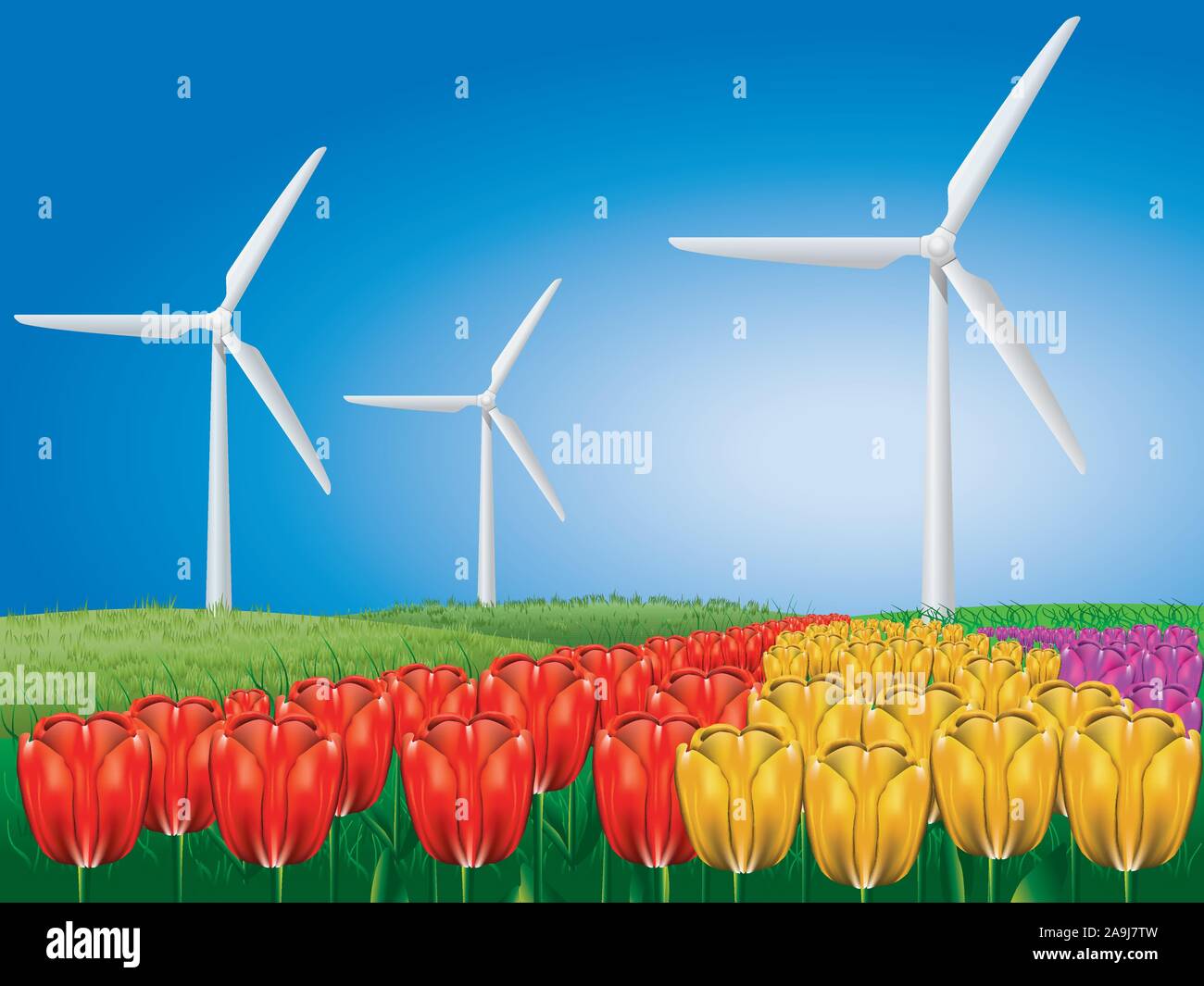 Tulips field of tulips Stock Vector Images - Alamy