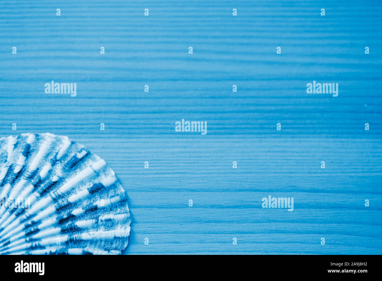 Color seashell hi-res stock photography and images - Alamy