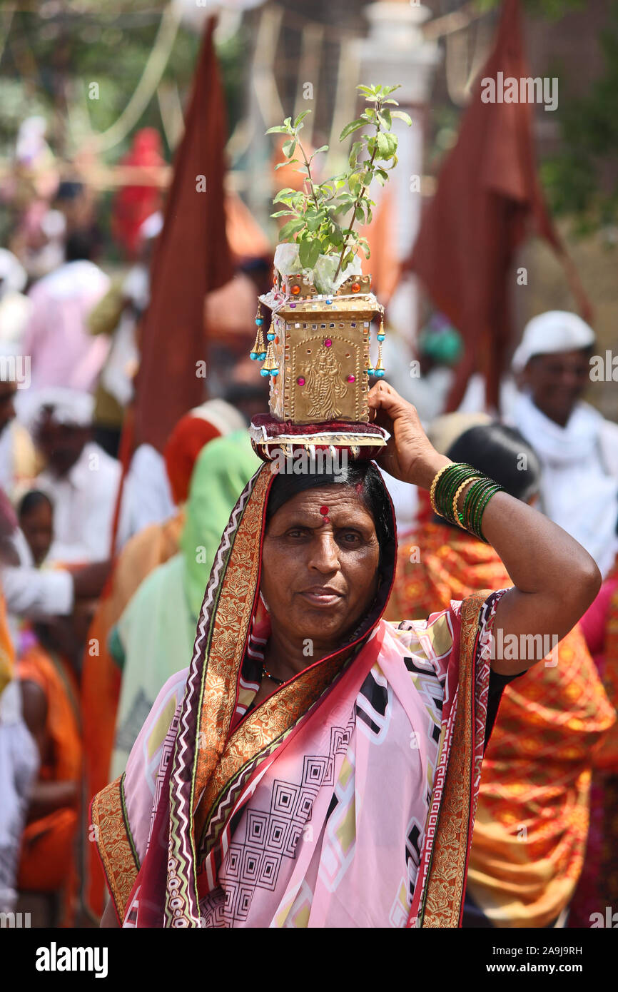 Tulsi plant hi-res stock photography and images - Alamy