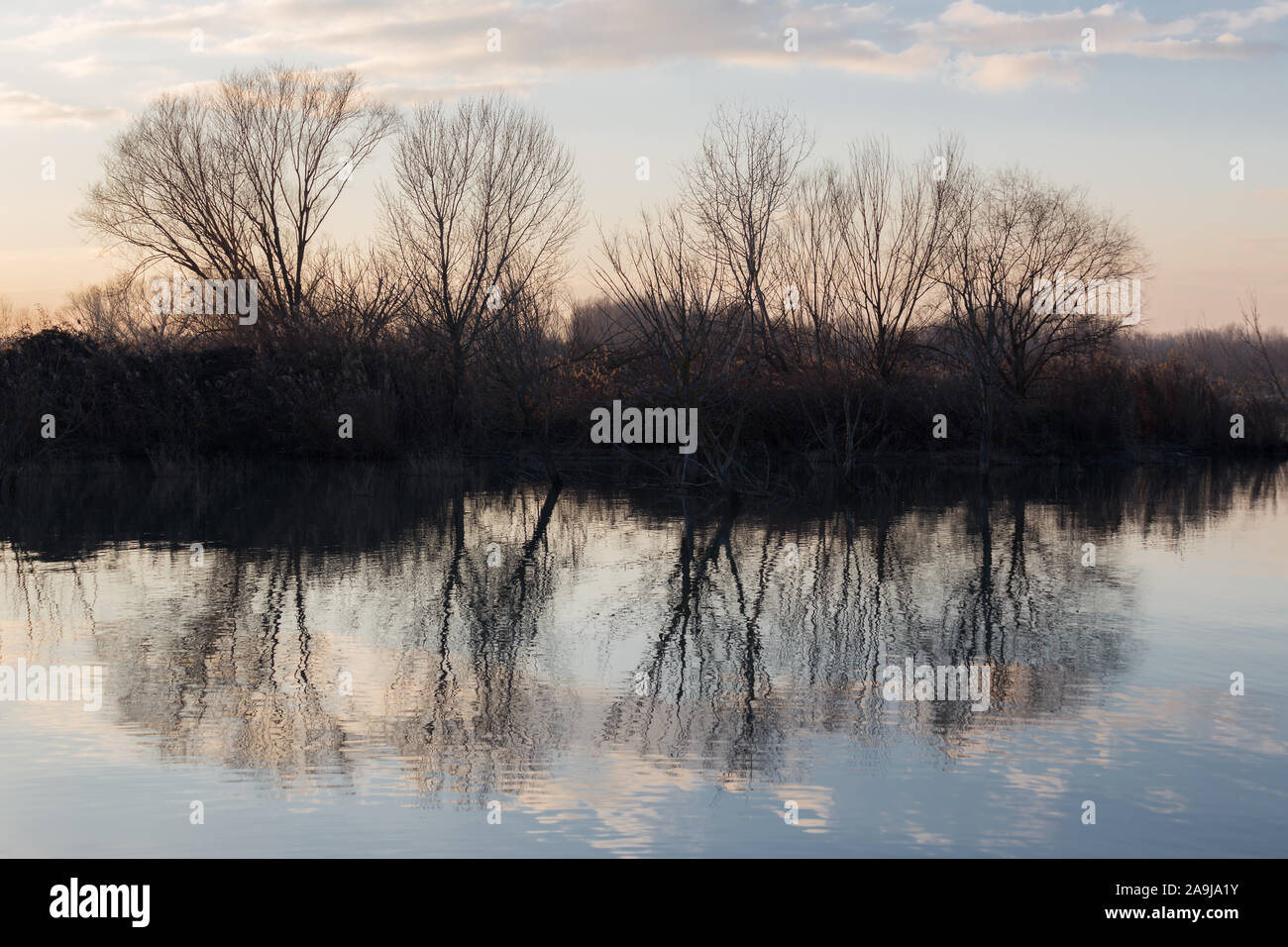 A symmetric photo of a lake, with trees reflections on water at golden ...