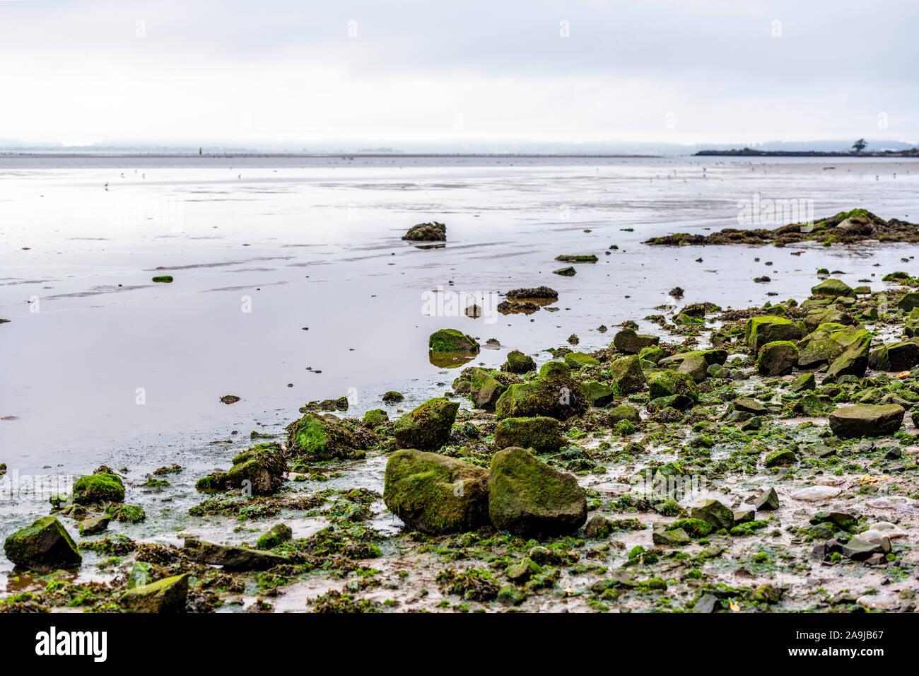 Landscaping of Silent wild uninhabited Northwest Astoria Pacific coast ...