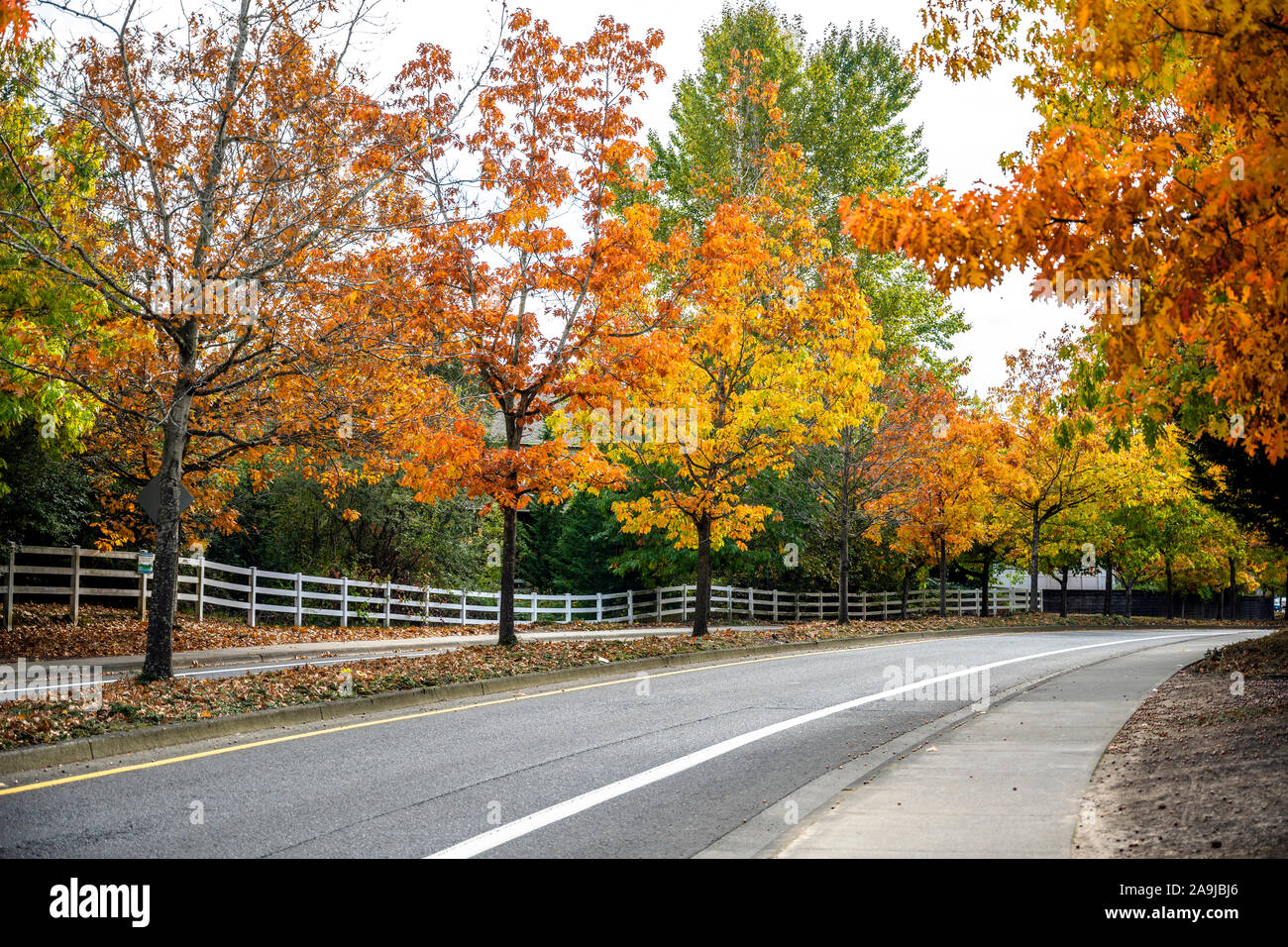 Picturesque autumn city landscape with trees with red and yellow leaves ...