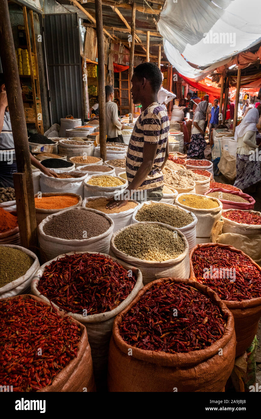 Ethiopia, East Hararghe, Harar, Harar Jugol, Shewa Gate, man in Spice ...