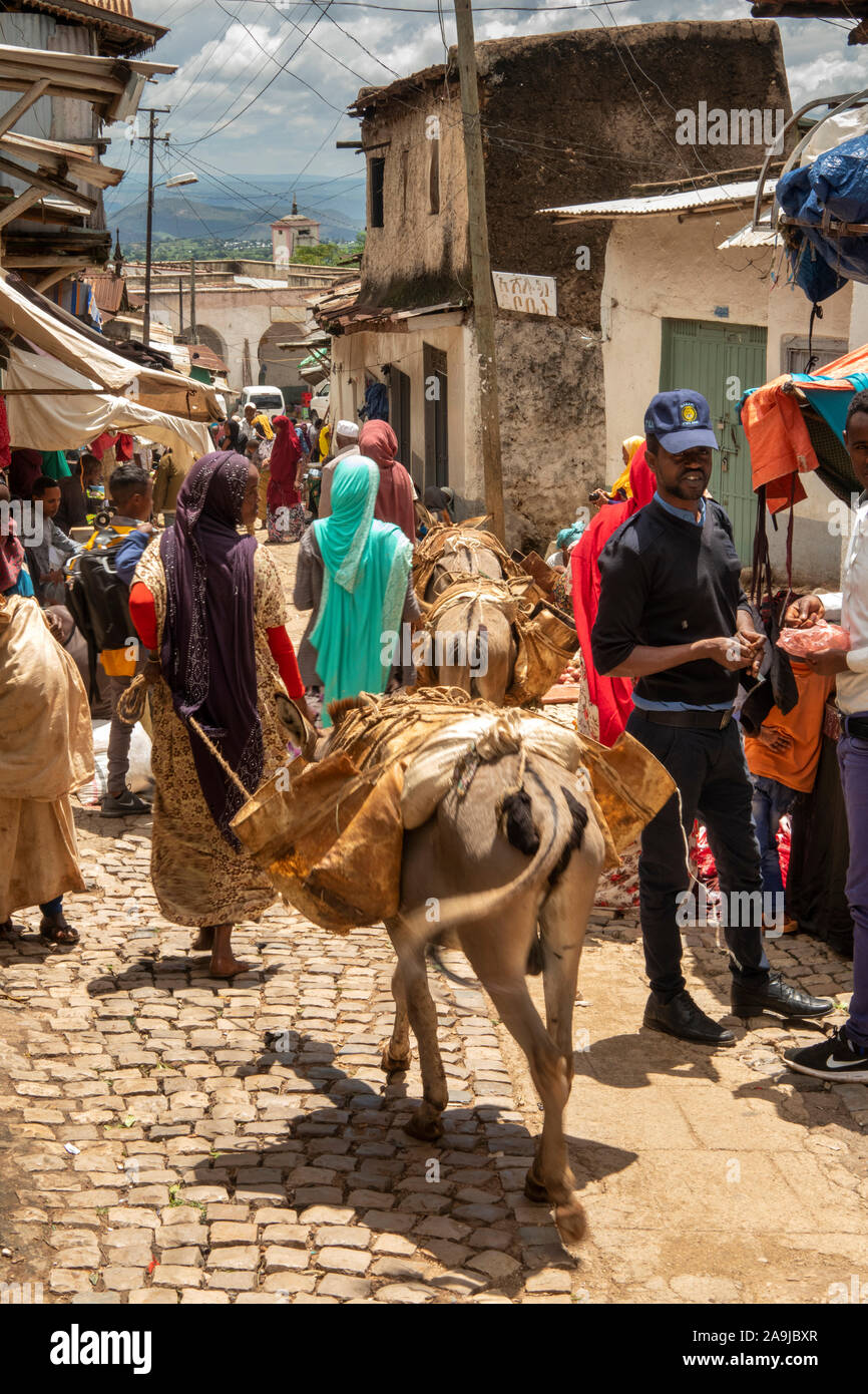Ethiopia, East Hararghe, Harar, Harar Jugol, Old Walled City, woman ...